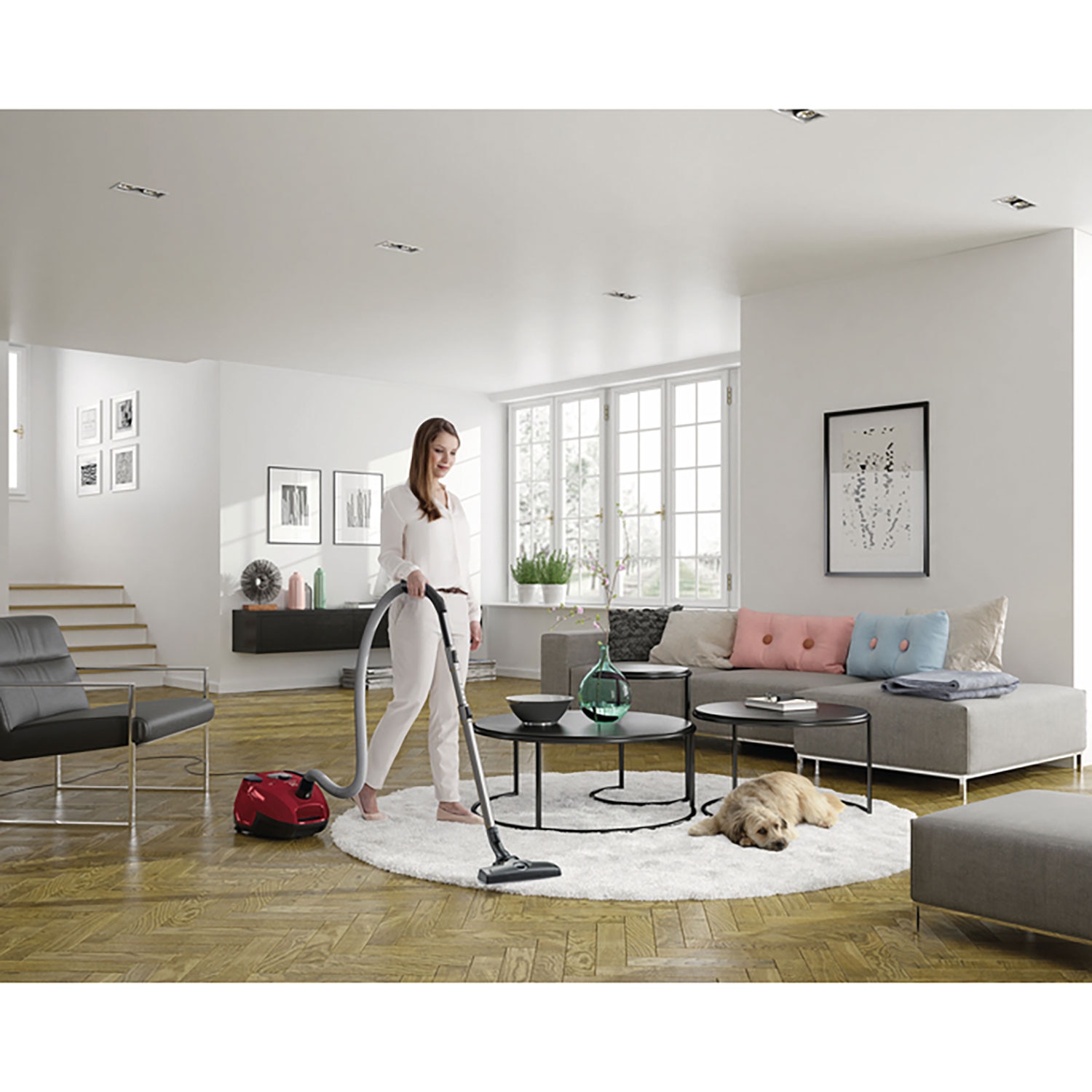 SilentPerformer canister vacuum cleaner - ZSP2320T | Electrolux India